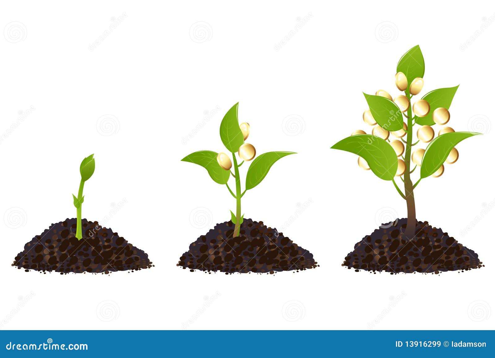 Life Process Of Golden Tree. Vector | CartoonDealer.com #14042889