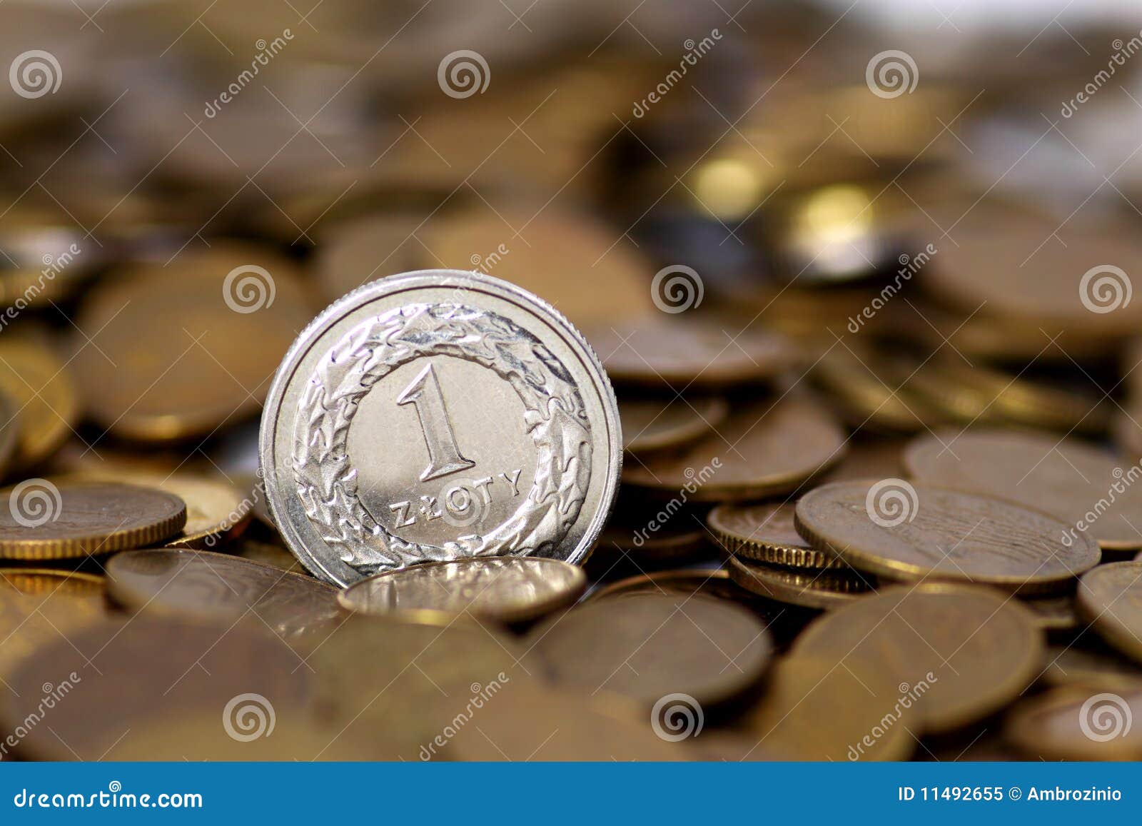 Money PLN stock image. Image of polish, currency, gold - 11492655