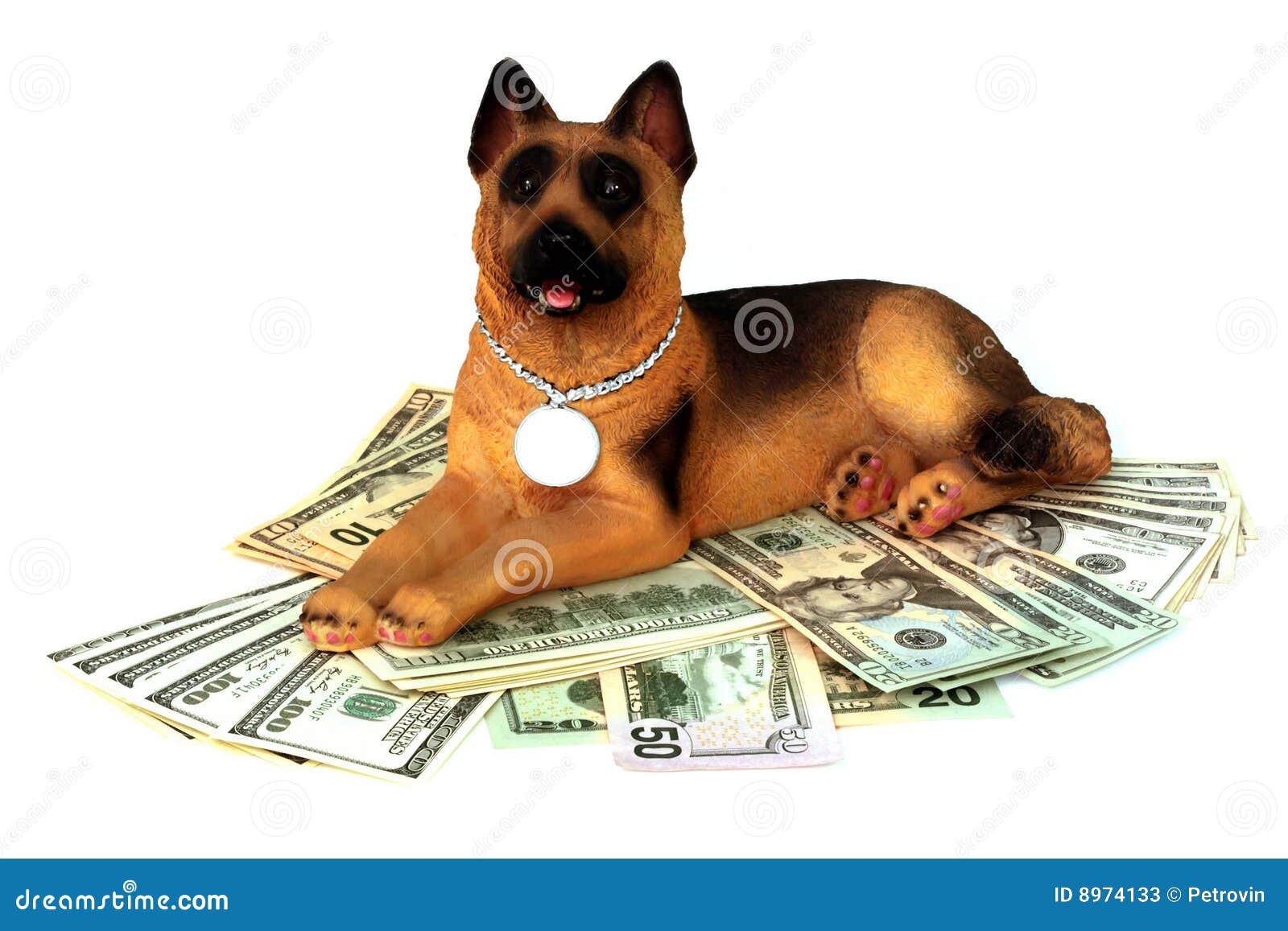 Money and protection stock image. Image of security, medallion - 8974133