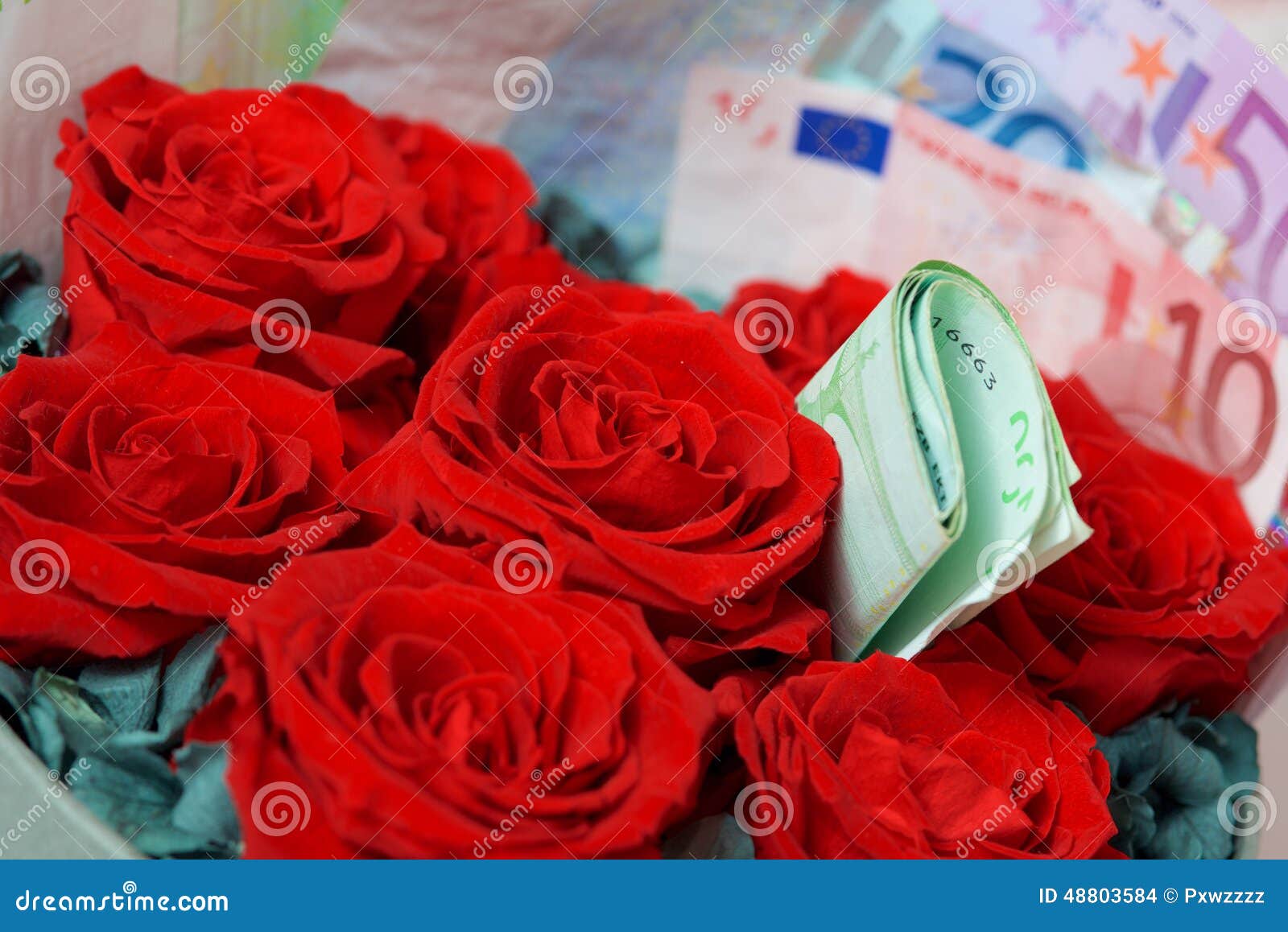 Money and rose stock photo. Image of exchange, dollar - 48803584