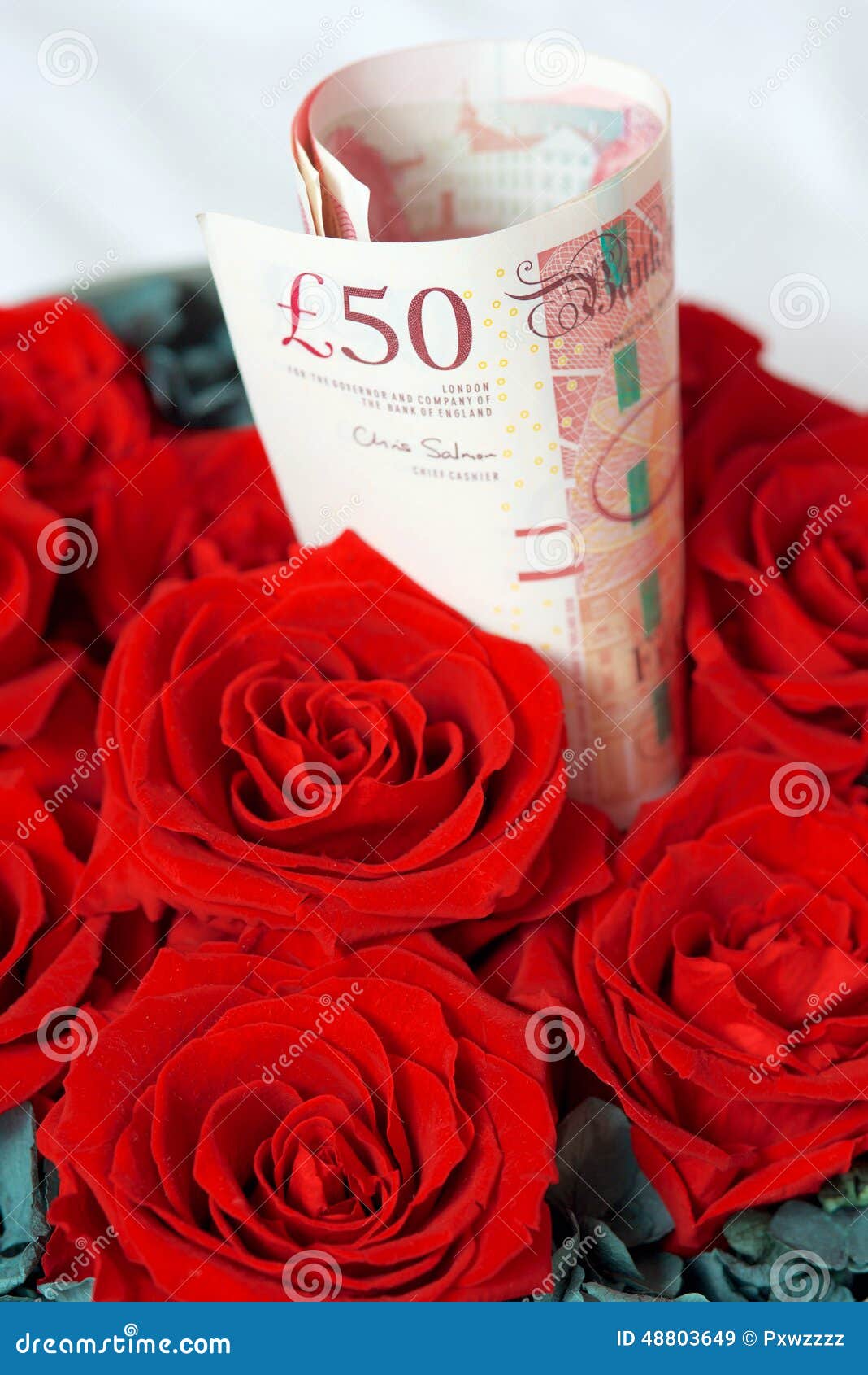 Money and rose editorial stock image. Image of budget - 48803649