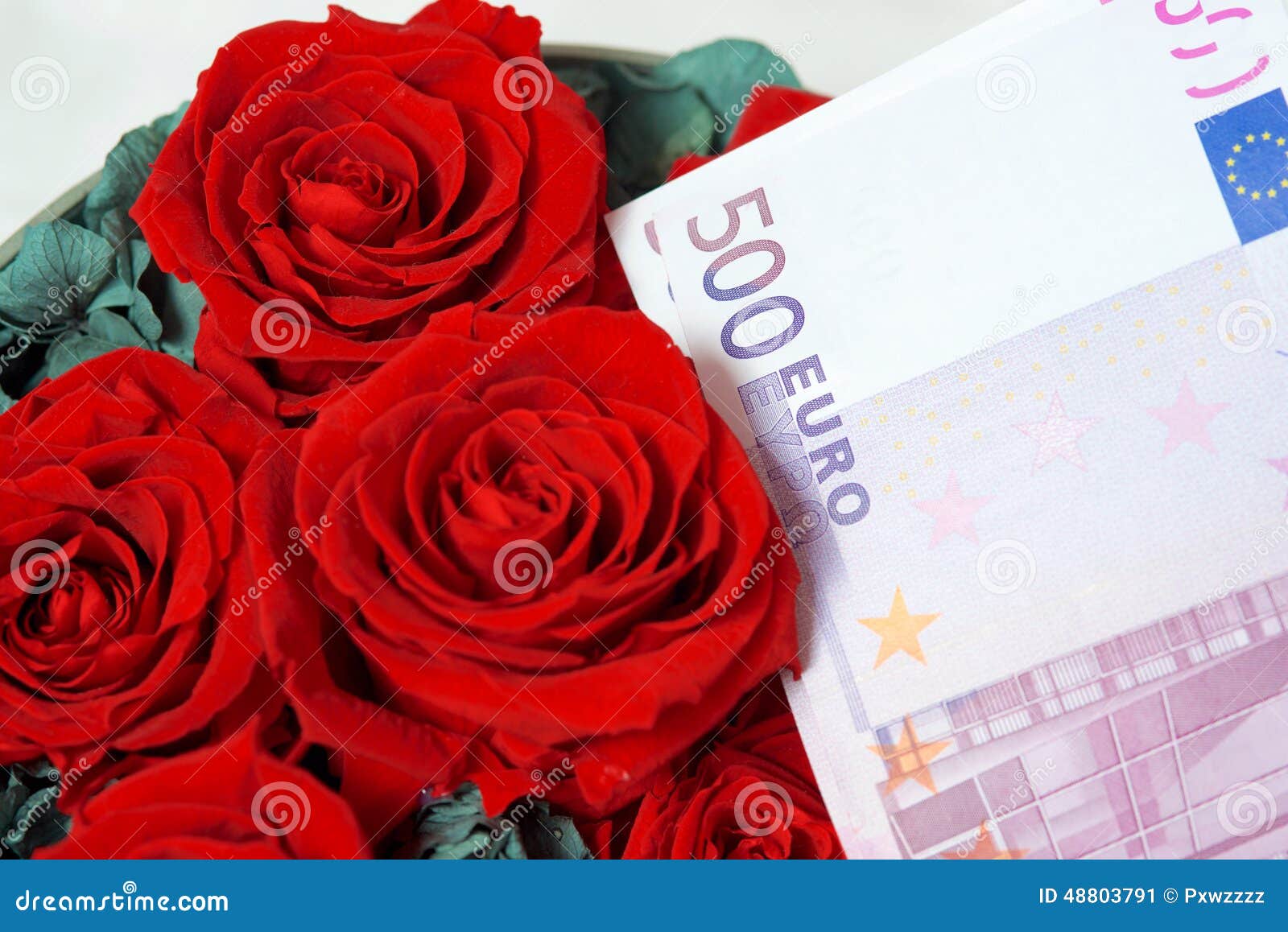 Money and rose stock image. Image of cash, exchange, finance - 48803791