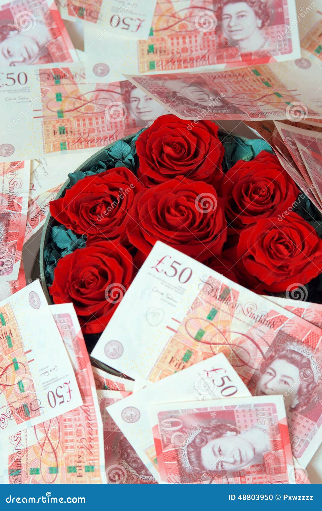 Money and rose editorial image. Image of british, exchange - 48803950