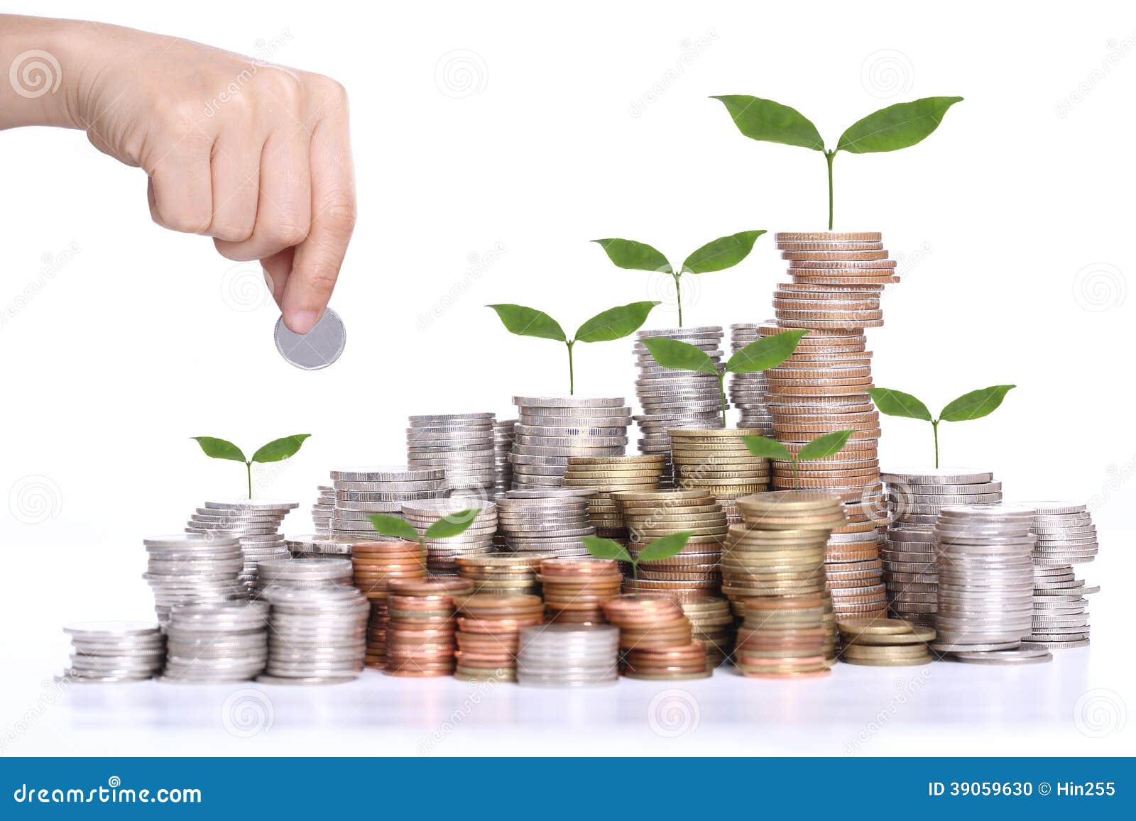Money Saving Concept with Coin Stack and Tree Growing Concept Stock ...