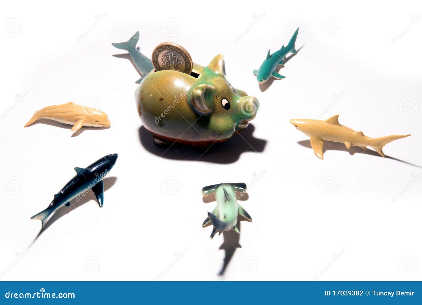 Money and sharks stock photo. Image of moneybox, terrorizing - 17039382