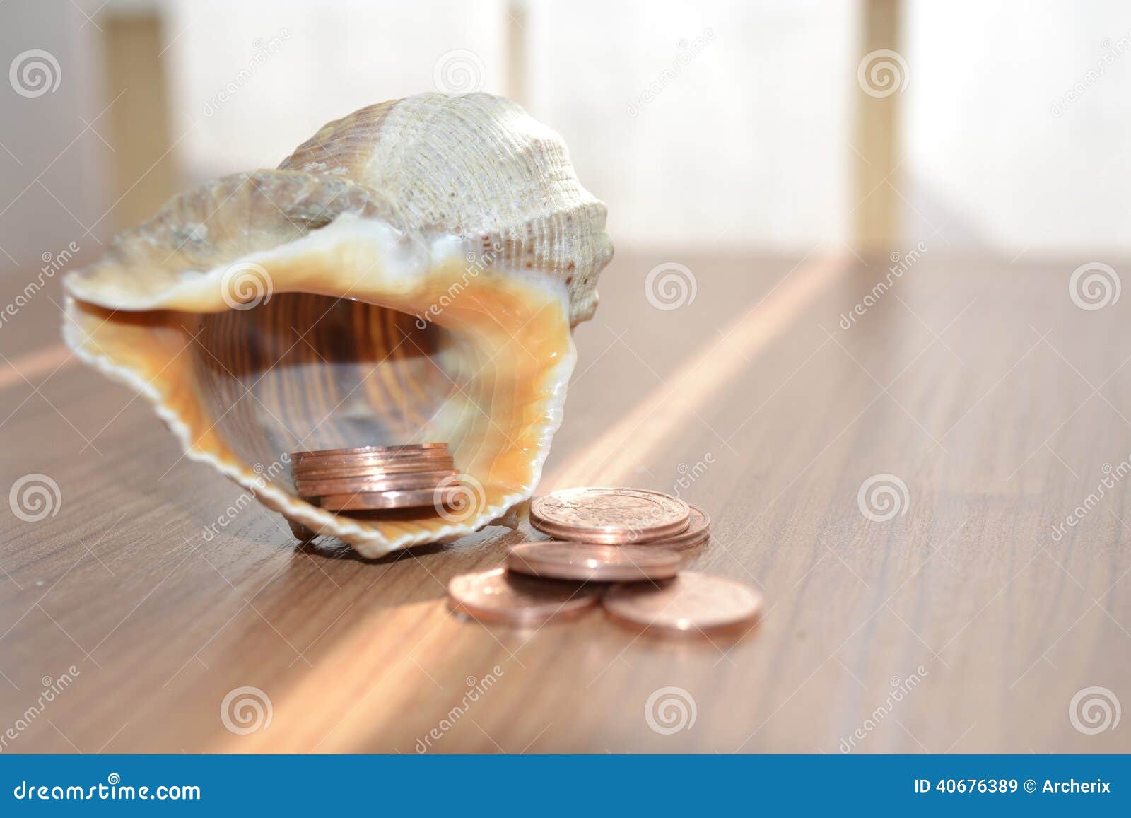 Money and shell stock image. Image of office, accumulate - 40676389