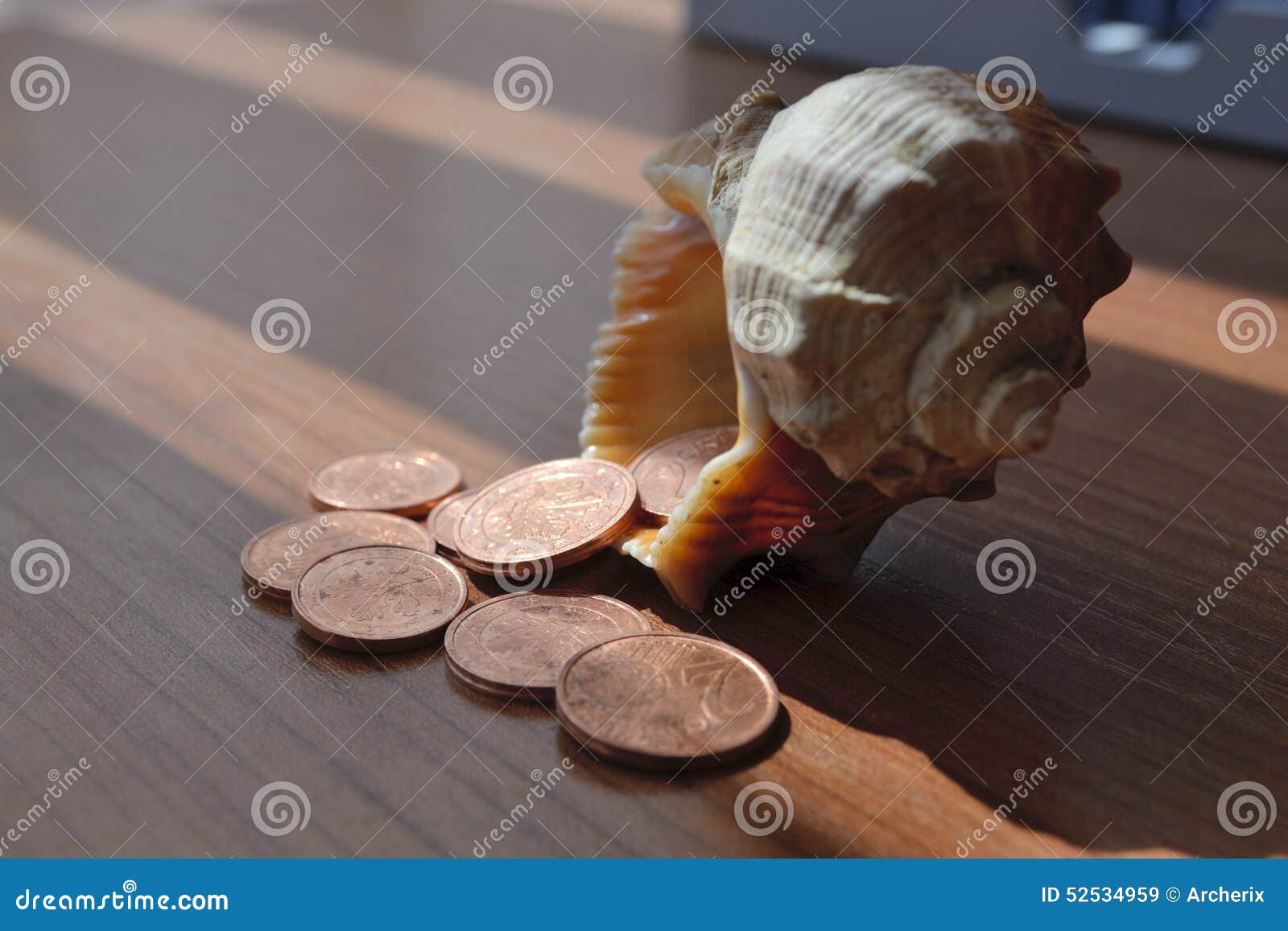 Money and shell stock image. Image of background, dream - 52534959