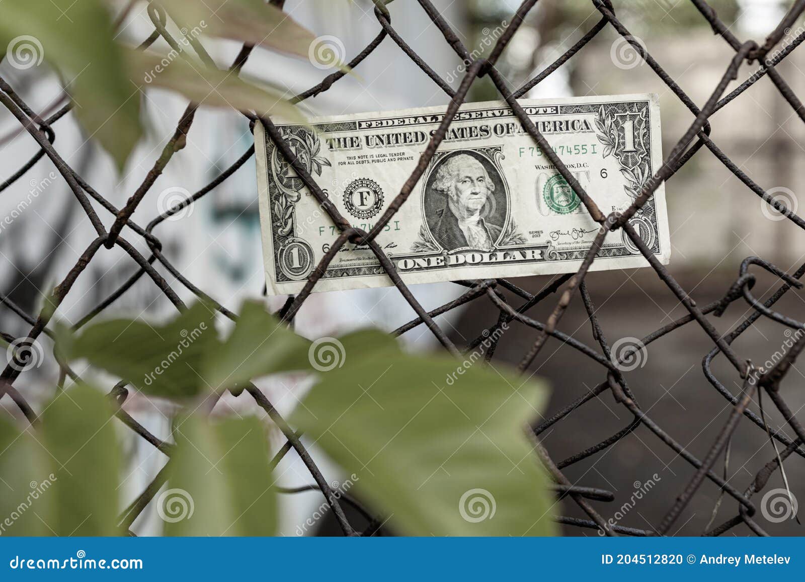 Money Stuck in the Plexus of a Metal Lattice Stock Photo - Image of ...