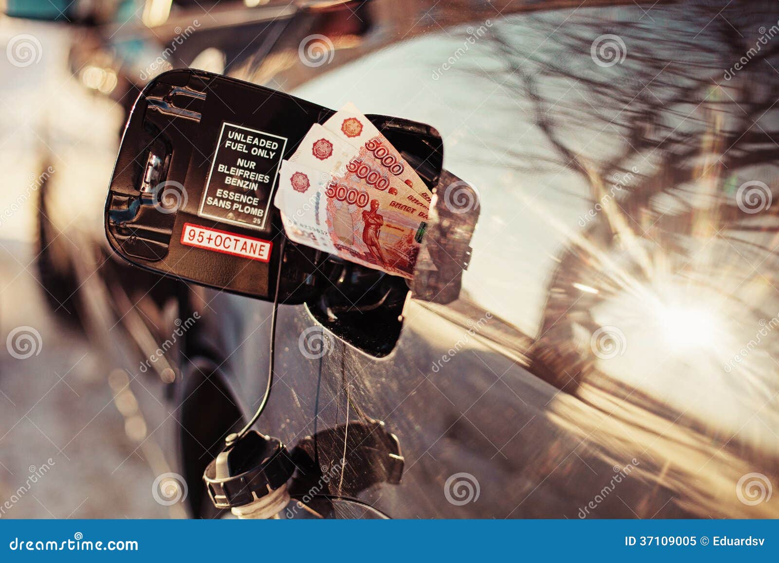 Money in tank. stock image. Image of crisis, bills, gasoline - 37109005