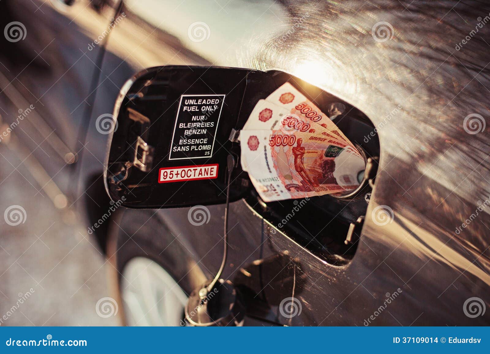 Money in tank. stock photo. Image of price, fuel, petrol - 37109014