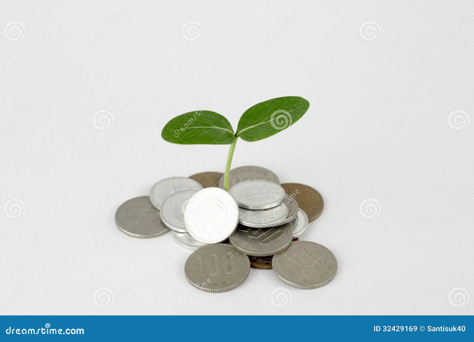 Money to grow stock image. Image of assets, isolated - 32429169