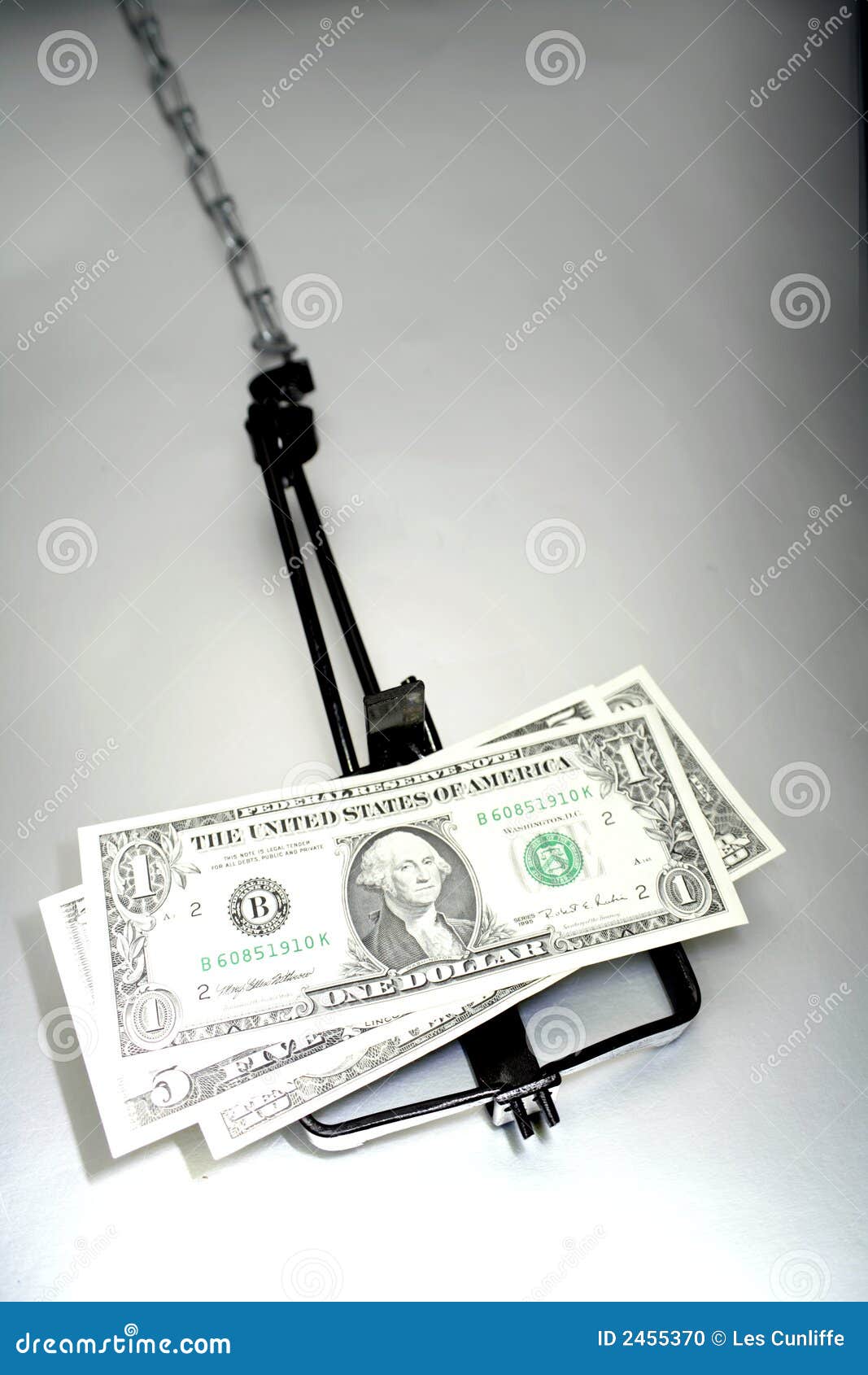 Money in trap stock photo. Image of banking, bait, insurance - 2455370