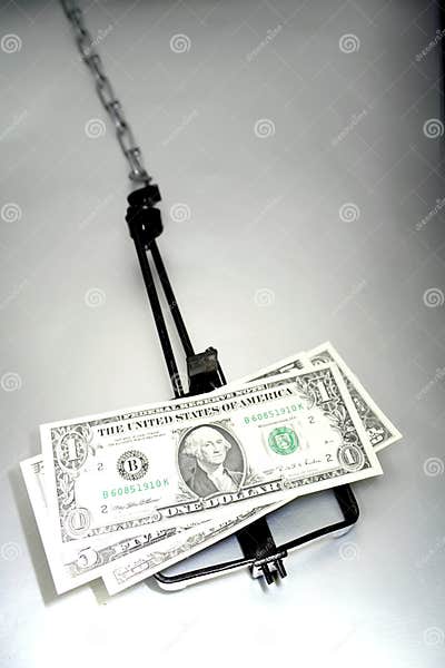 Money in trap stock photo. Image of banking, bait, insurance - 2455370