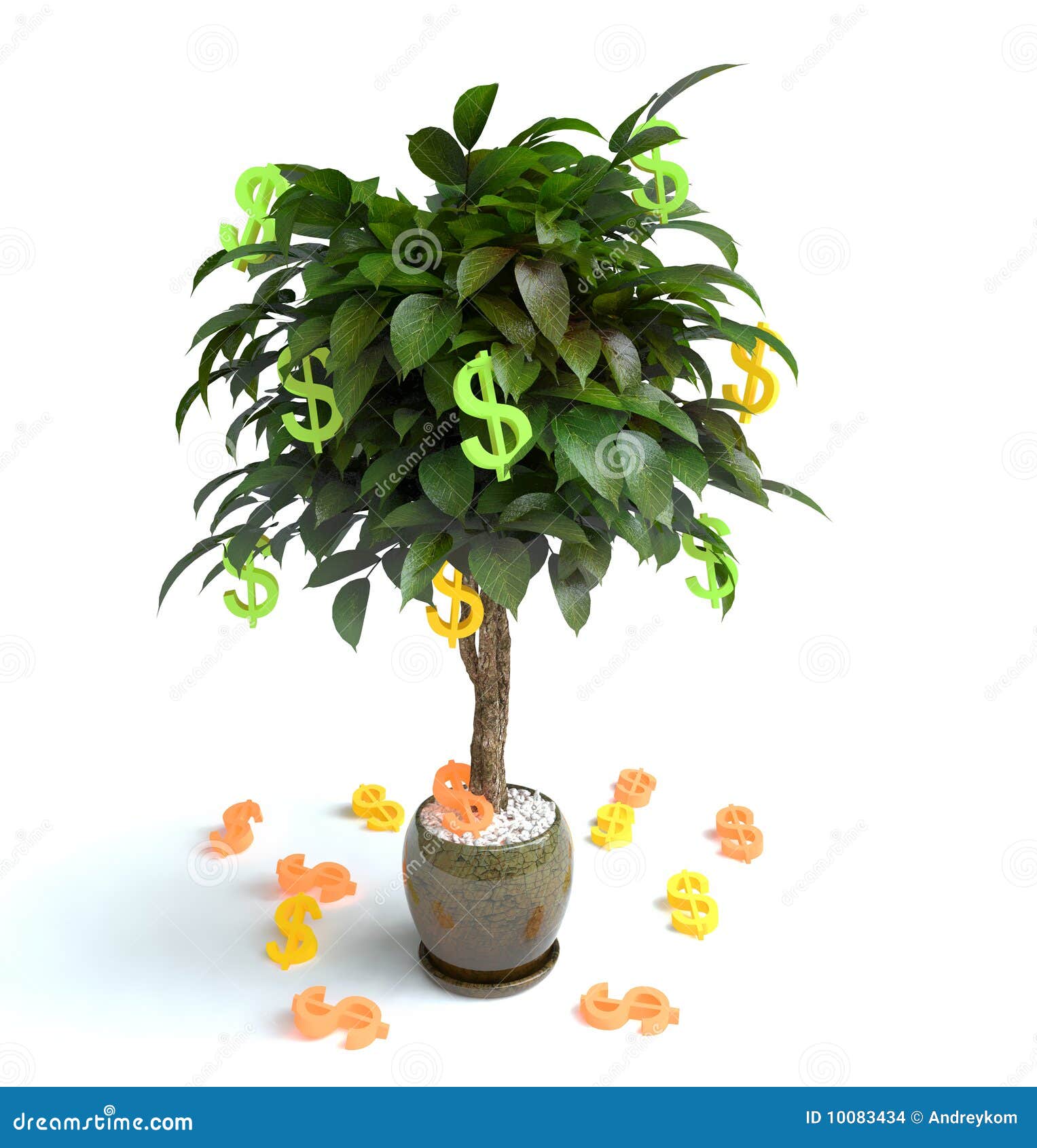 Money Tree stock photo. Image of leaf, dollar, shrub - 10083434