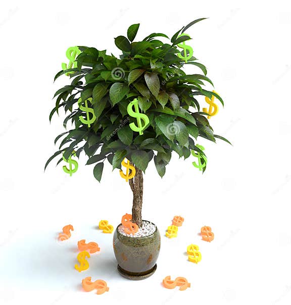 Money Tree stock photo. Image of leaf, dollar, shrub - 10083434