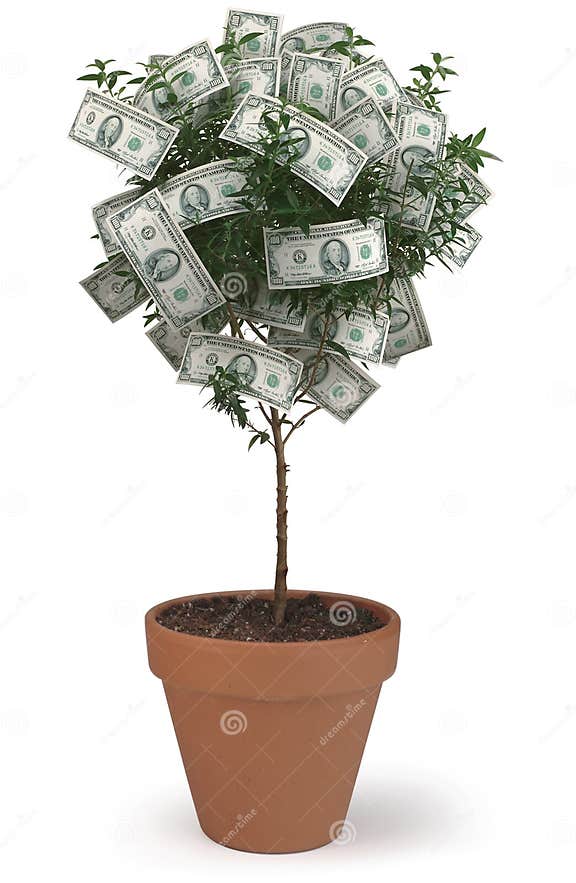 Money Tree stock photo. Image of growth, booming, lotto - 1143230