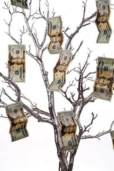 Money Tree stock image. Image of bucks, twenty, giving - 1675605