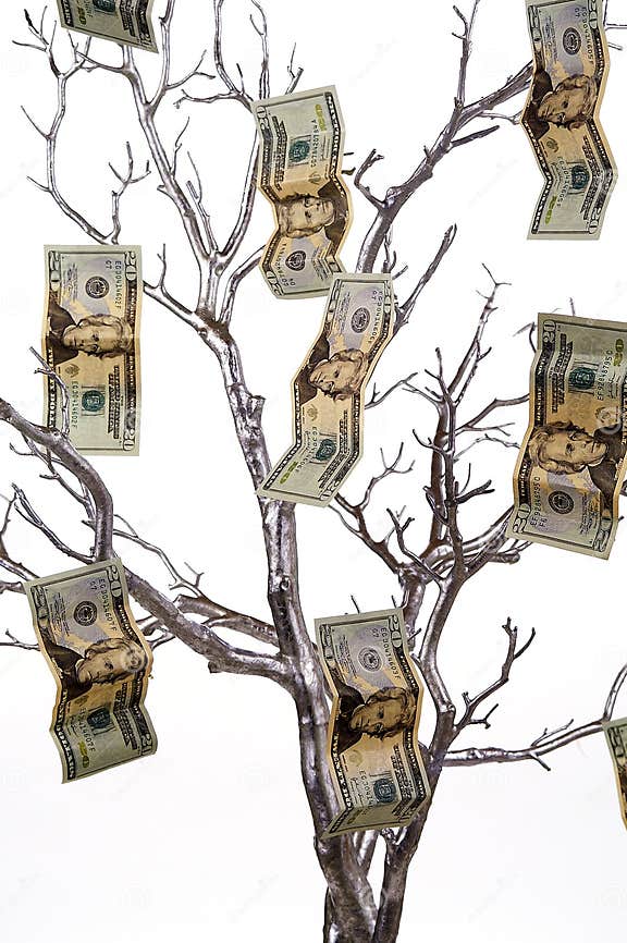 Money Tree stock image. Image of bucks, twenty, giving - 1675605