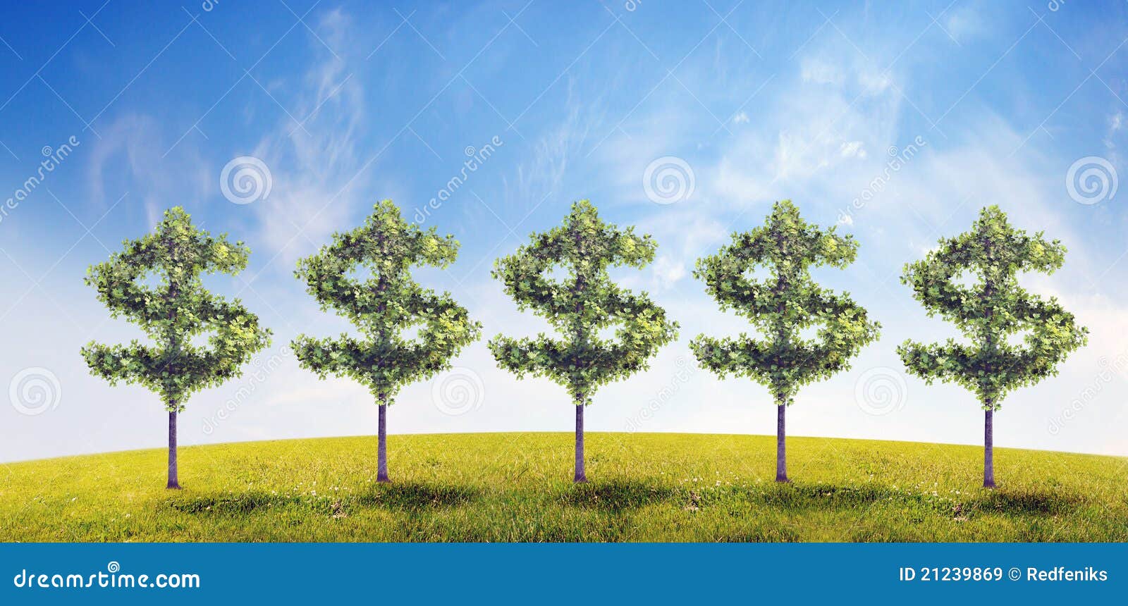 Money tree stock image. Image of account, financial, cash - 21239869