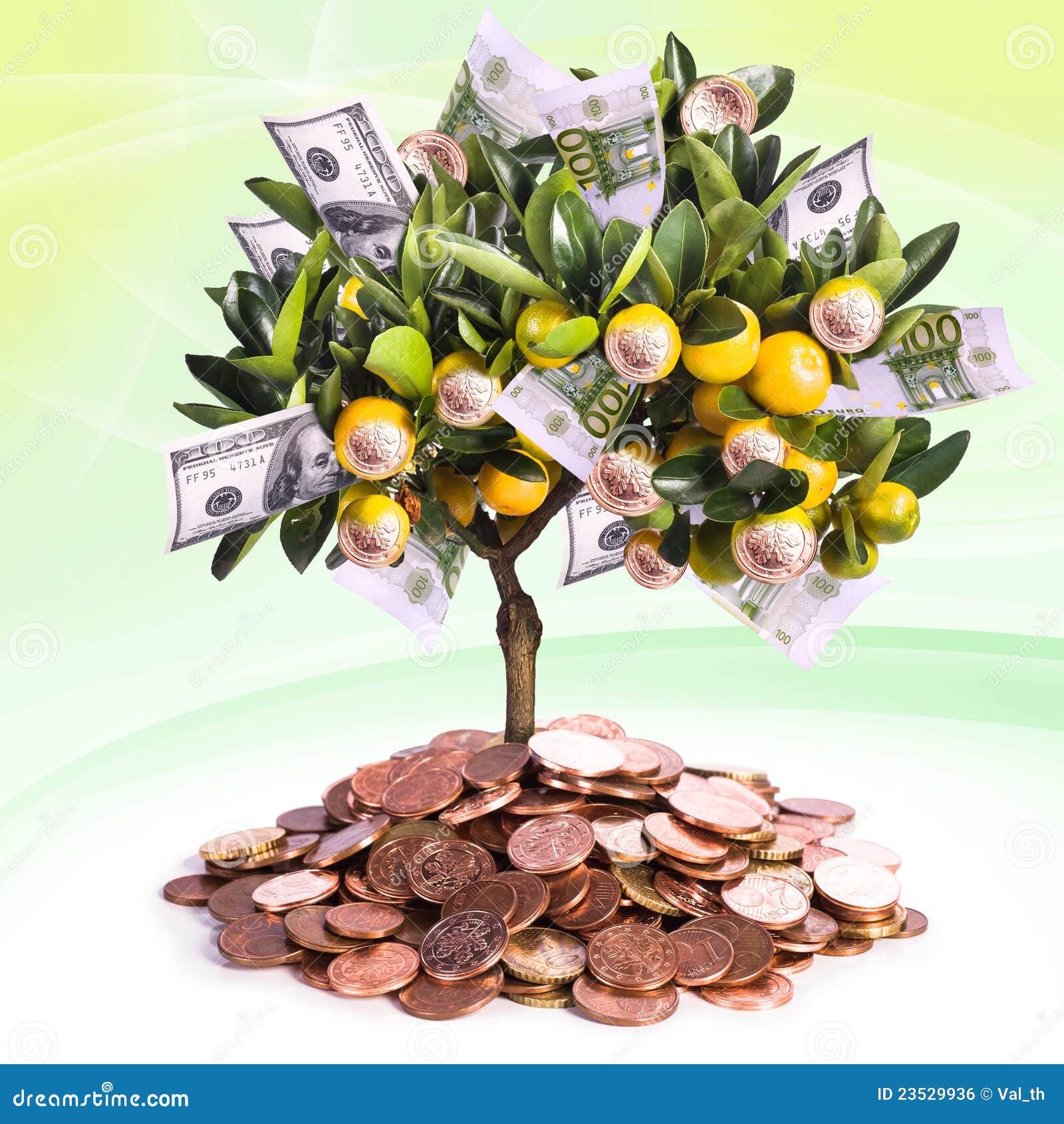 Money tree stock photo. Image of finance, income, green - 23529936