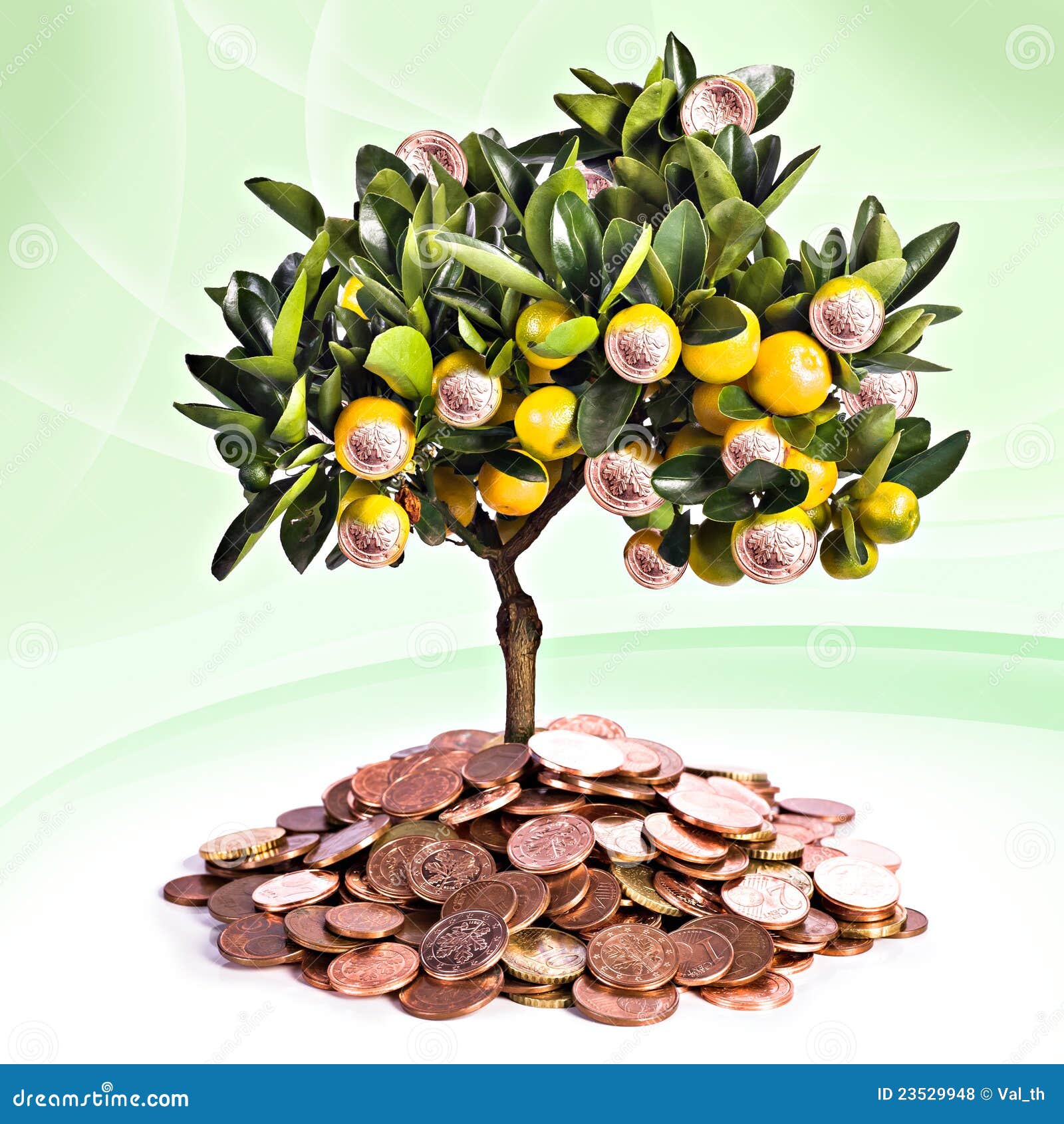 Money tree stock photo. Image of financial, concepts - 23529948