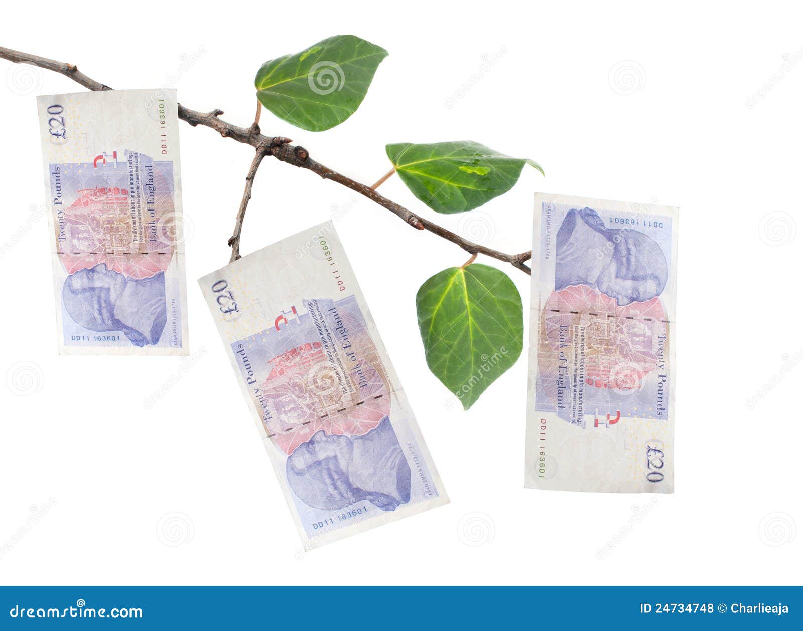 Money tree editorial stock photo. Image of note, successful - 24734748