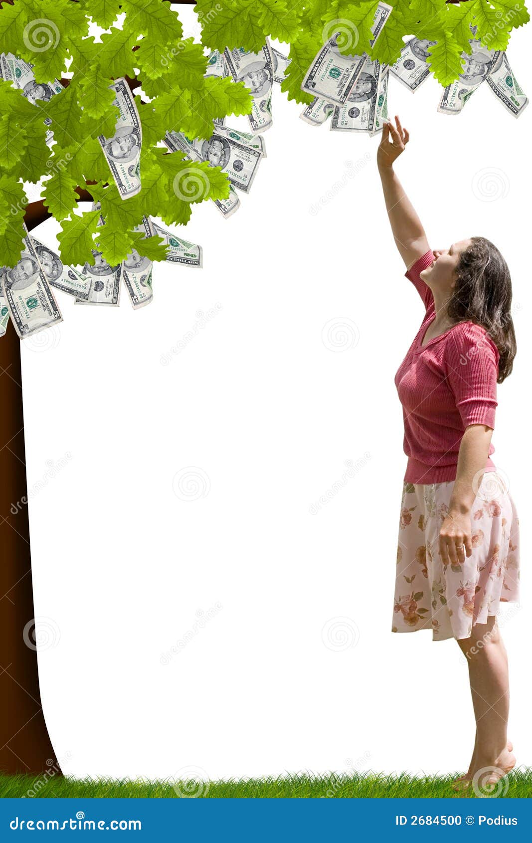 Money Tree stock photo. Image of banking, goals, dreams - 2684500