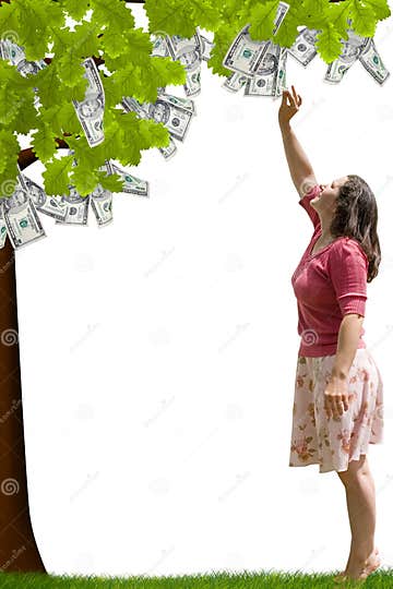 Money Tree stock photo. Image of banking, goals, dreams - 2684500