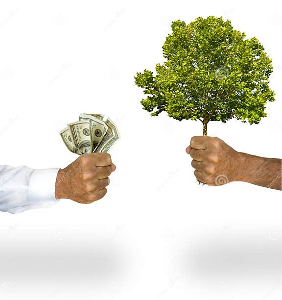 Money for tree stock photo. Image of abstract, profits - 6096626