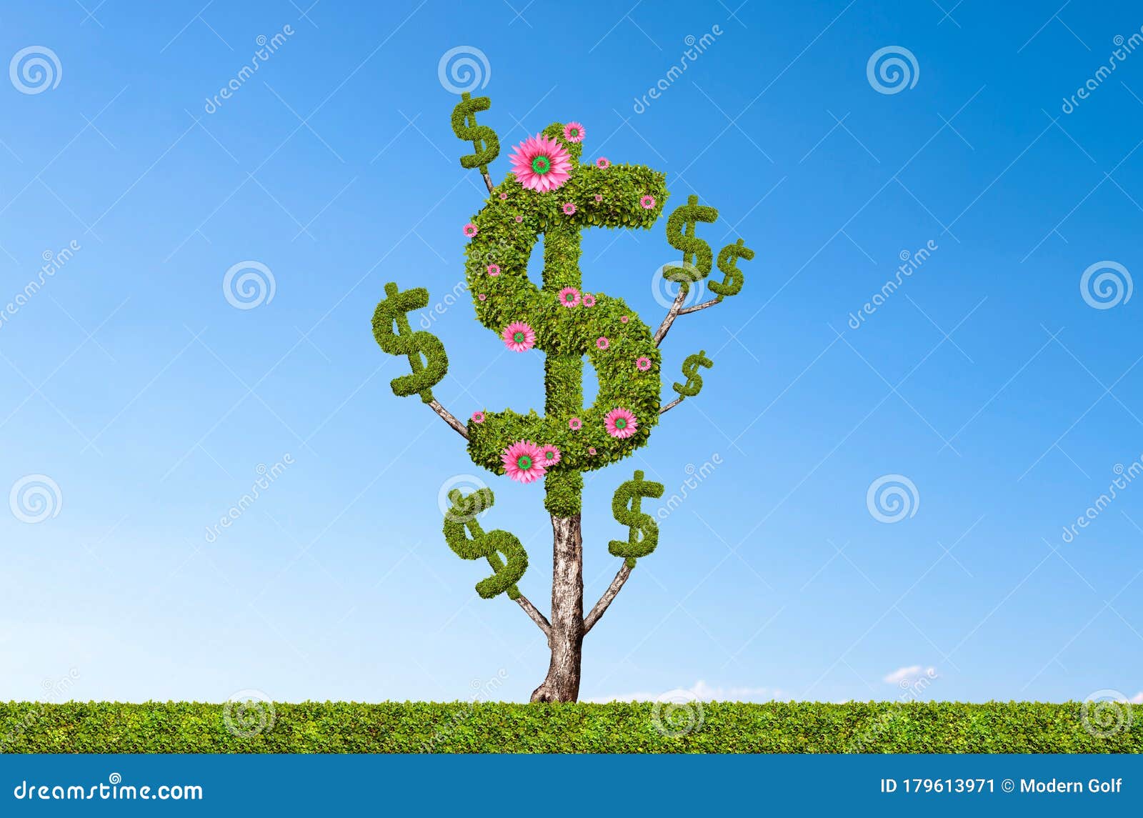 Money Tree on Blue Sky Background . Stock Image - Image of root ...
