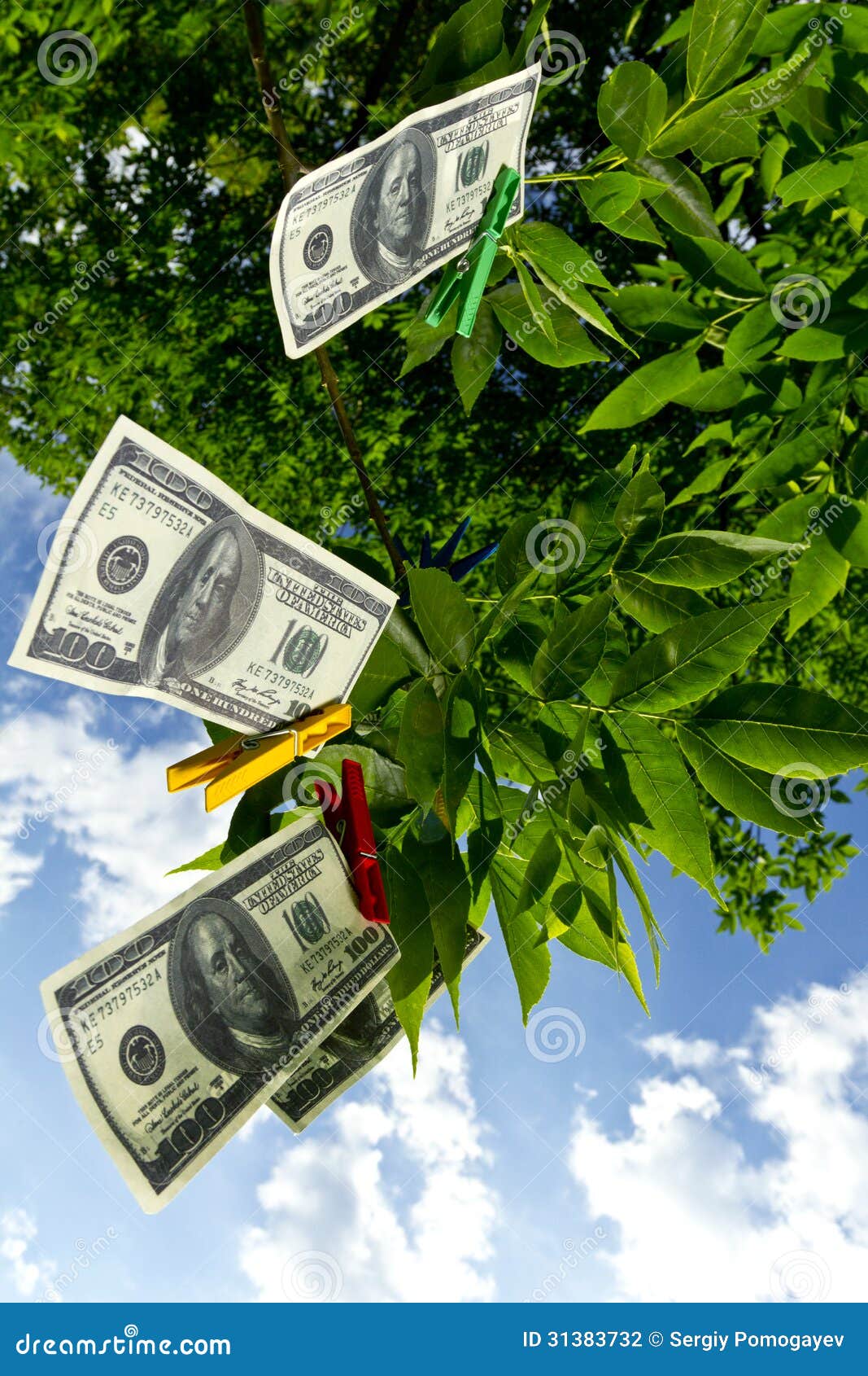 Money tree stock photo. Image of making, paper, green - 31383732