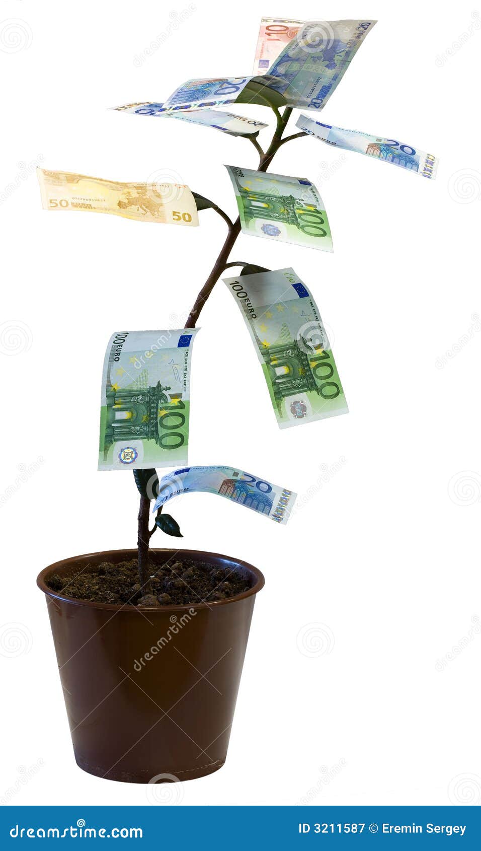 Money tree (Euro) stock image. Image of isolated, europe - 3211587