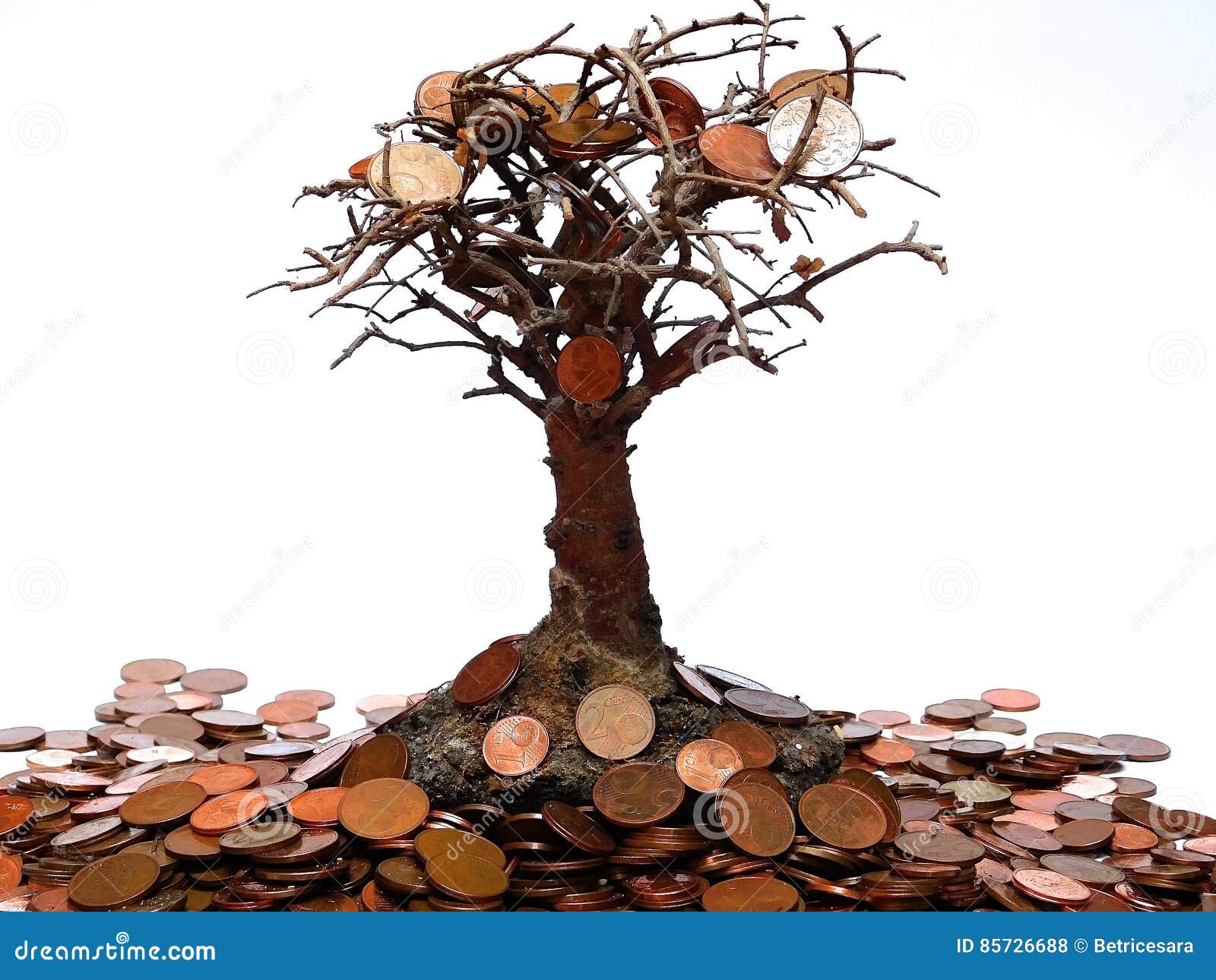 Money tree stock photo. Image of harvest, capital, market - 85726688