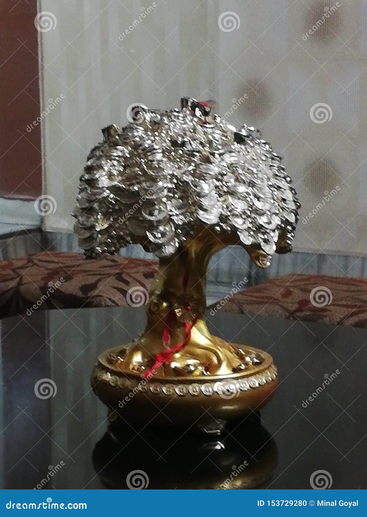 Money tree stock photo. Image of home, tree, money, showpiece - 153729280