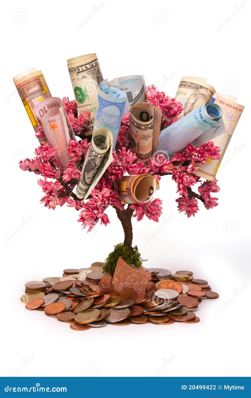 Money tree isolated stock photo. Image of grow, american - 20499422