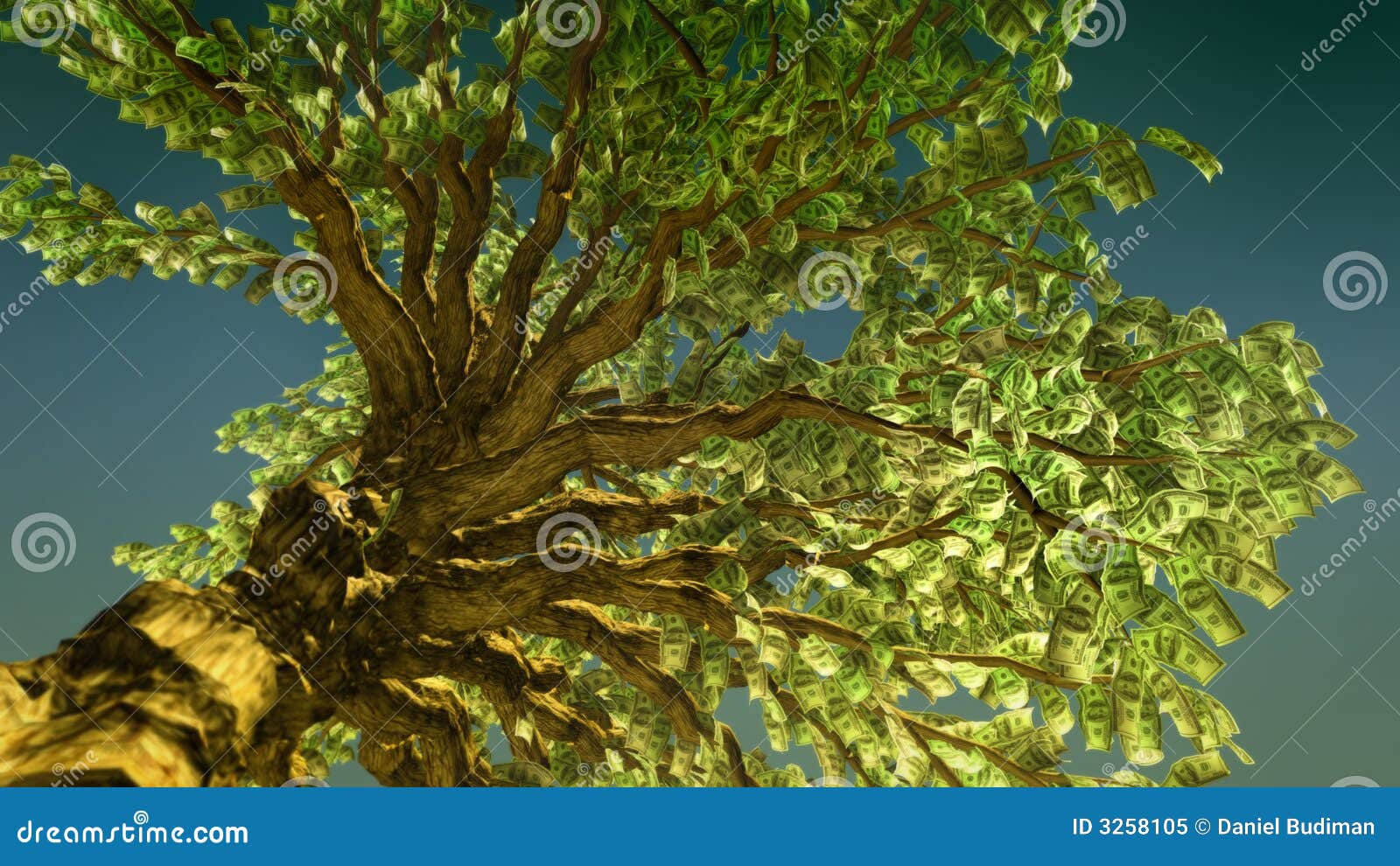 Money tree low angle stock illustration. Illustration of cash - 3258105
