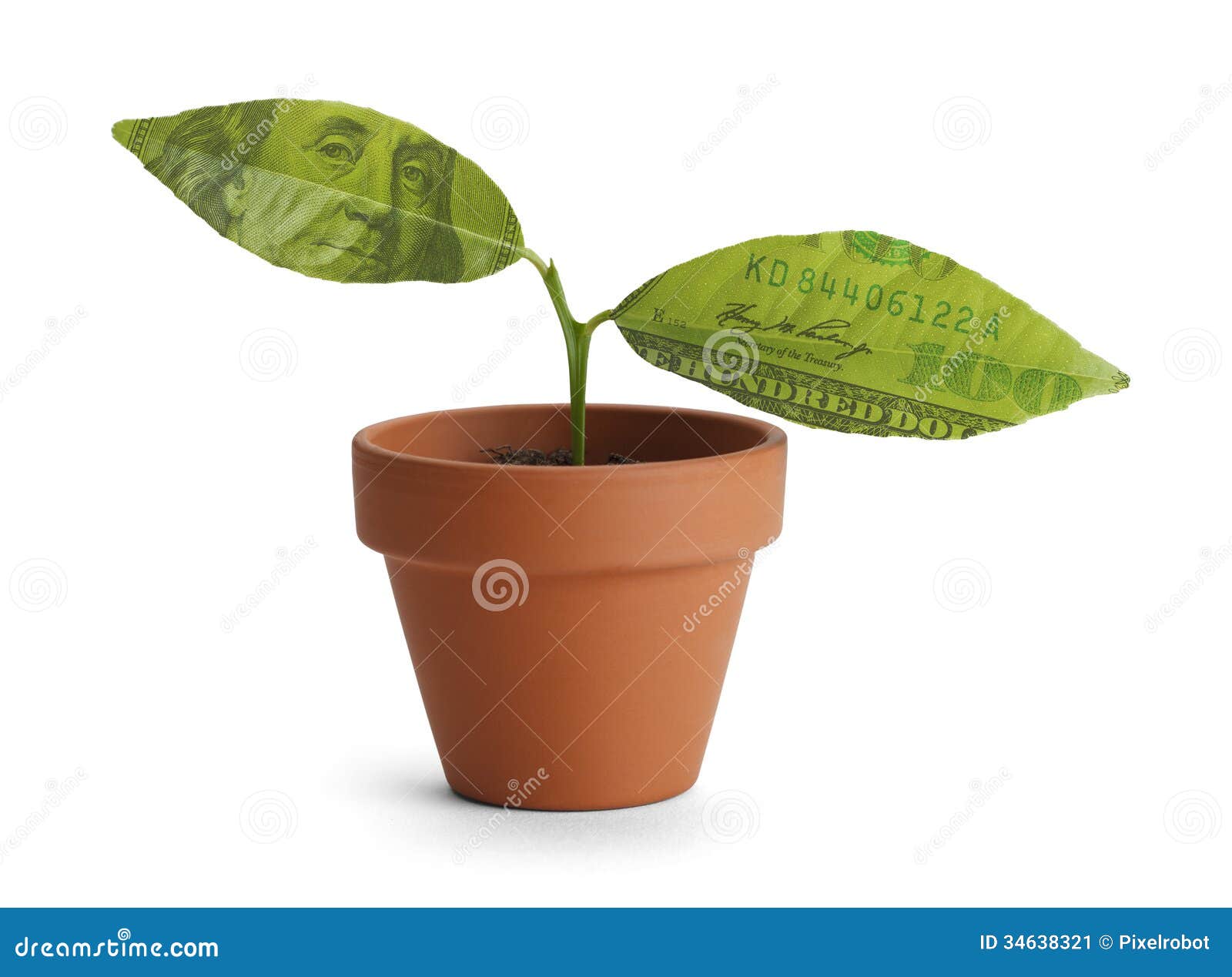 Money Tree stock image. Image of cash, huundred, color - 34638321