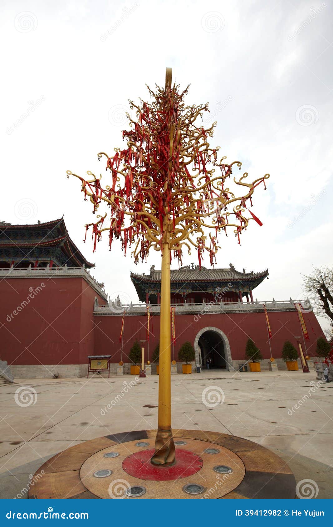 Money tree stock photo. Image of travel, taolist, tree - 39412982