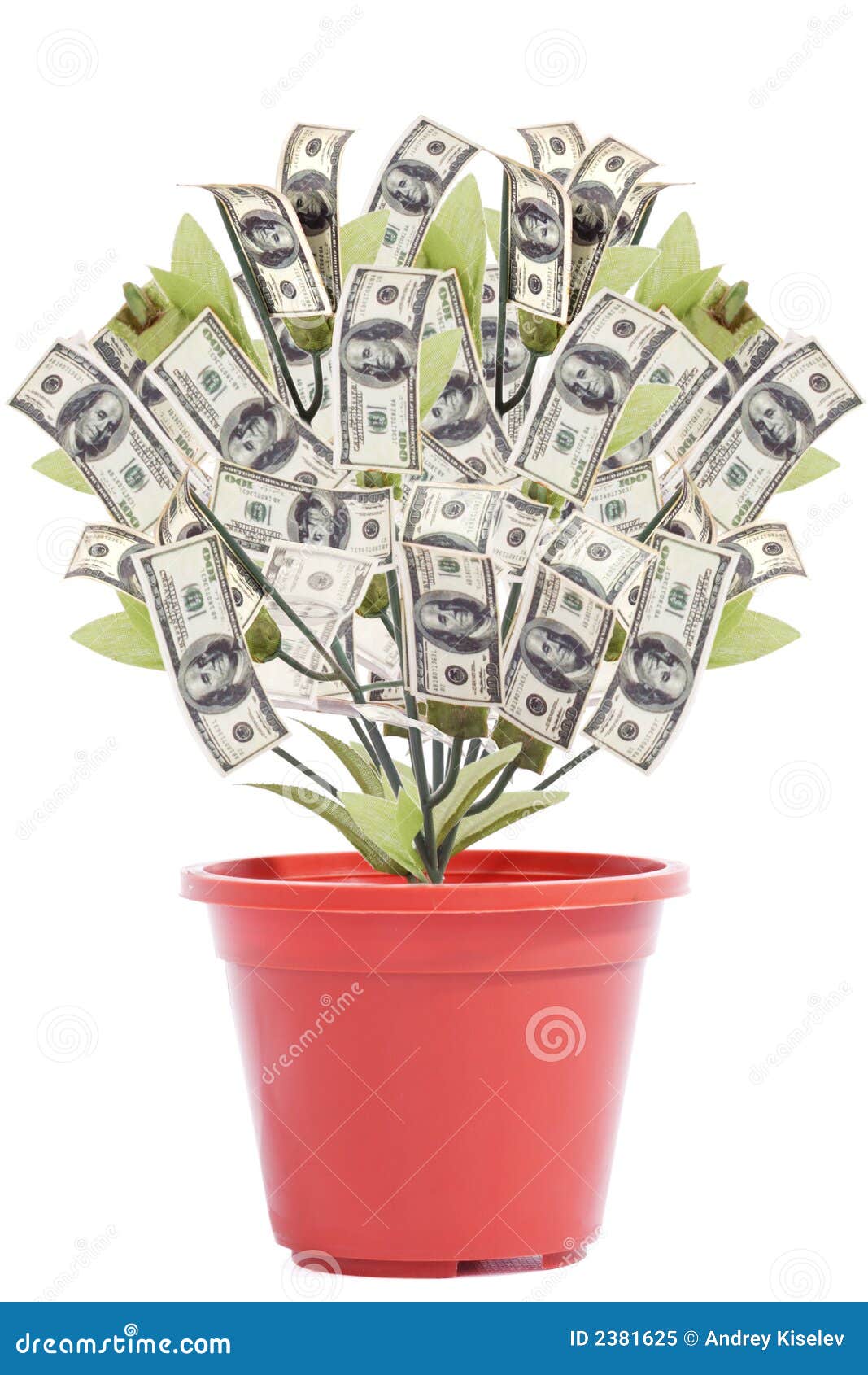 Money tree2 stock image. Image of tree, financial, concepts - 2381625