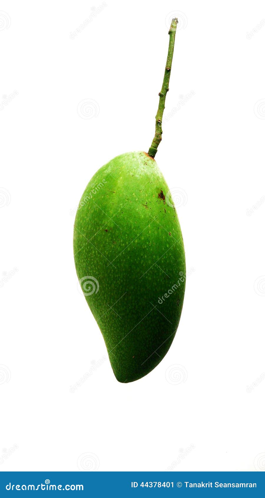 Mongo stock image. Image of nature, mongo, fruit, thai - 44378401