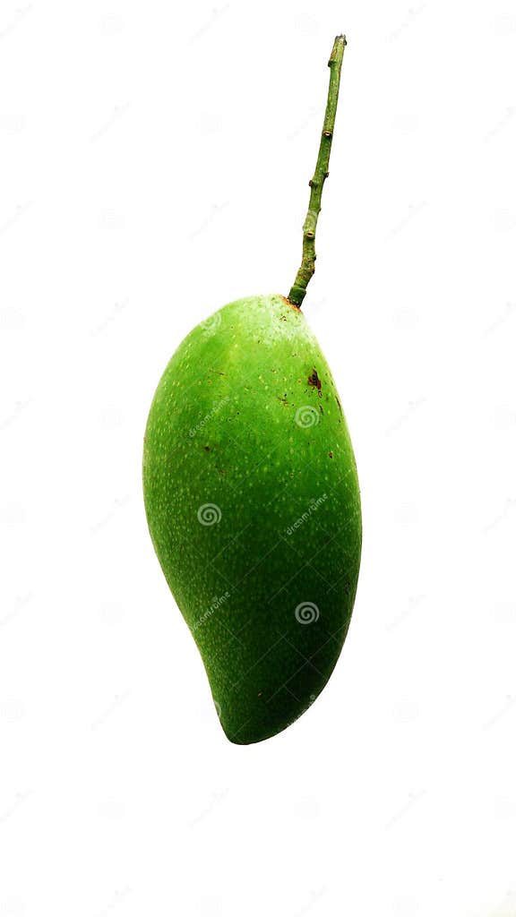 Mongo stock image. Image of nature, mongo, fruit, thai - 44378401