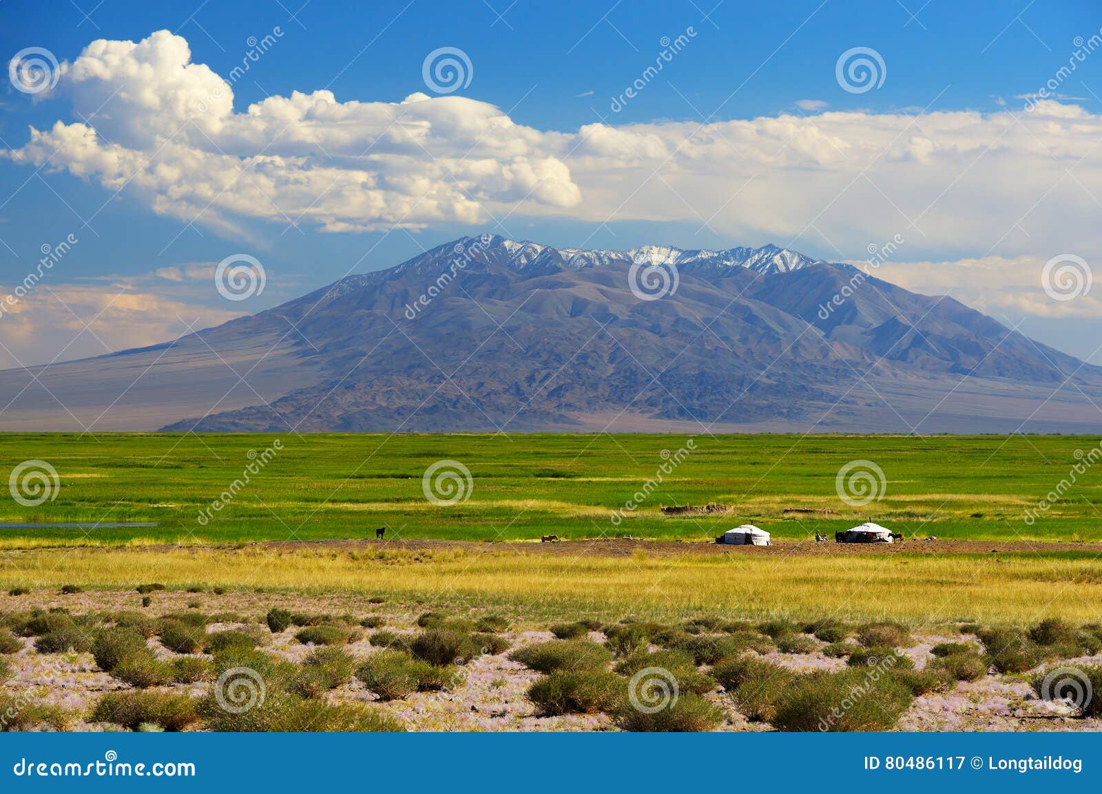 Mongolei-Landschaft stockbild. Bild von mongole, lager - 80486117