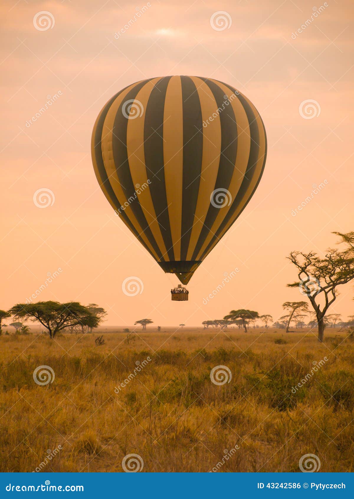 Mongolfiera in Africa fotografia stock. Immagine di paesaggio - 43242586
