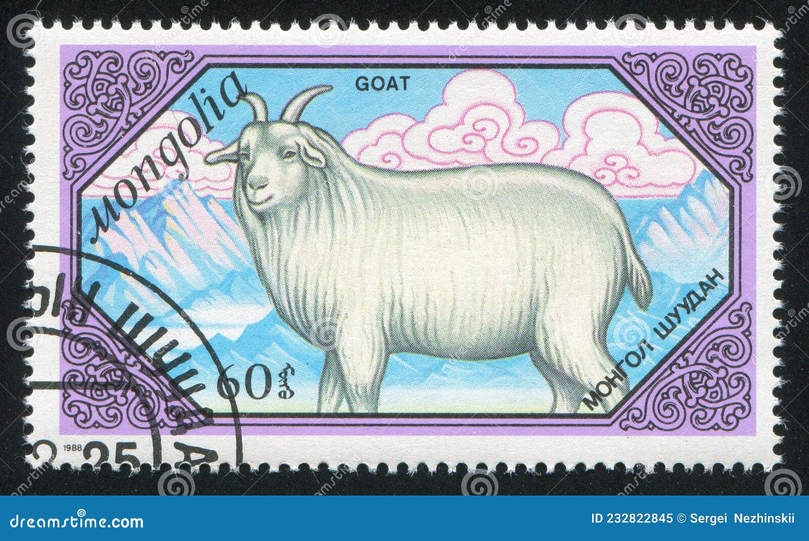 Goats editorial image. Image of cattle, message, mountain - 232822845