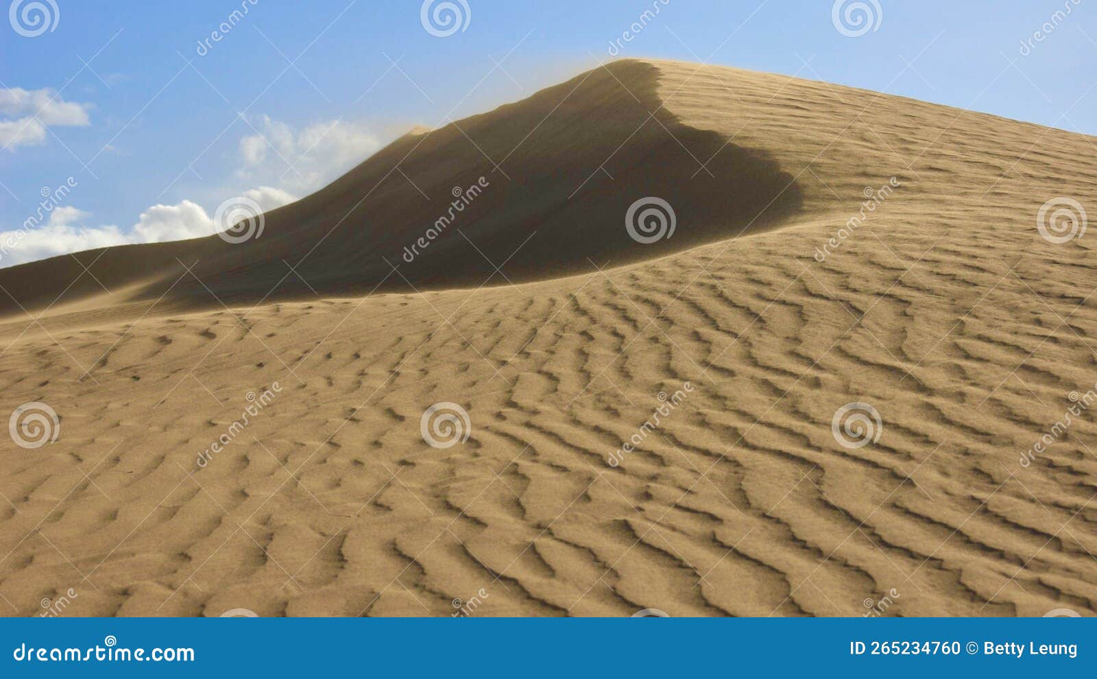 Sand Dunes with Wavy Patterns of Sands in Gobi Desert, Mongolia Stock ...