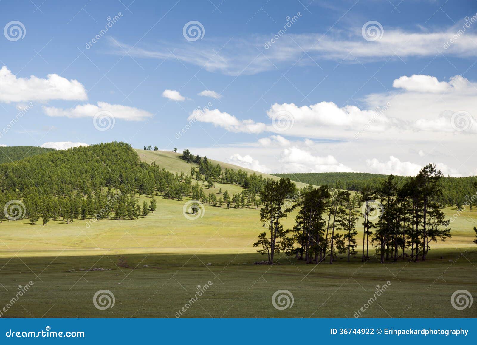 Mongolia S Northern Forests Stock Photo - Image of grassy, hovsgol ...