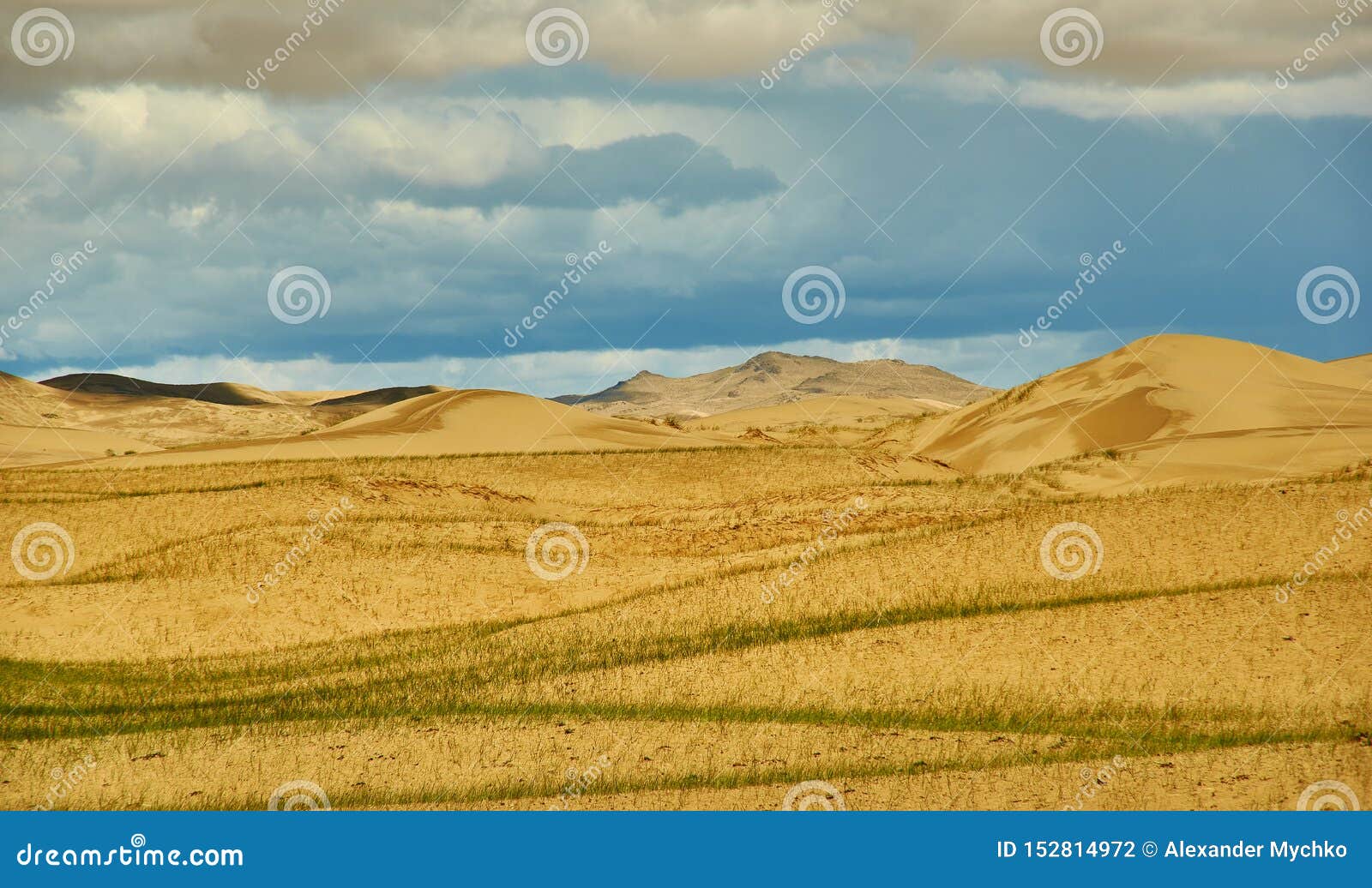 Mongolia. Sands Mongol Els, Sandy Dune Desert Stock Photo - Image of ...