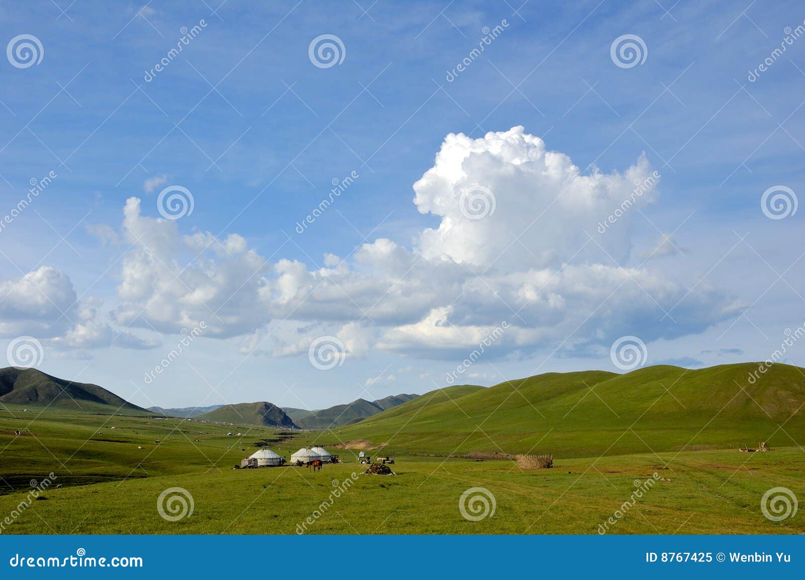 Mongolia wewnętrzna preria obraz stock. Obraz złożonej z scenistyka ...