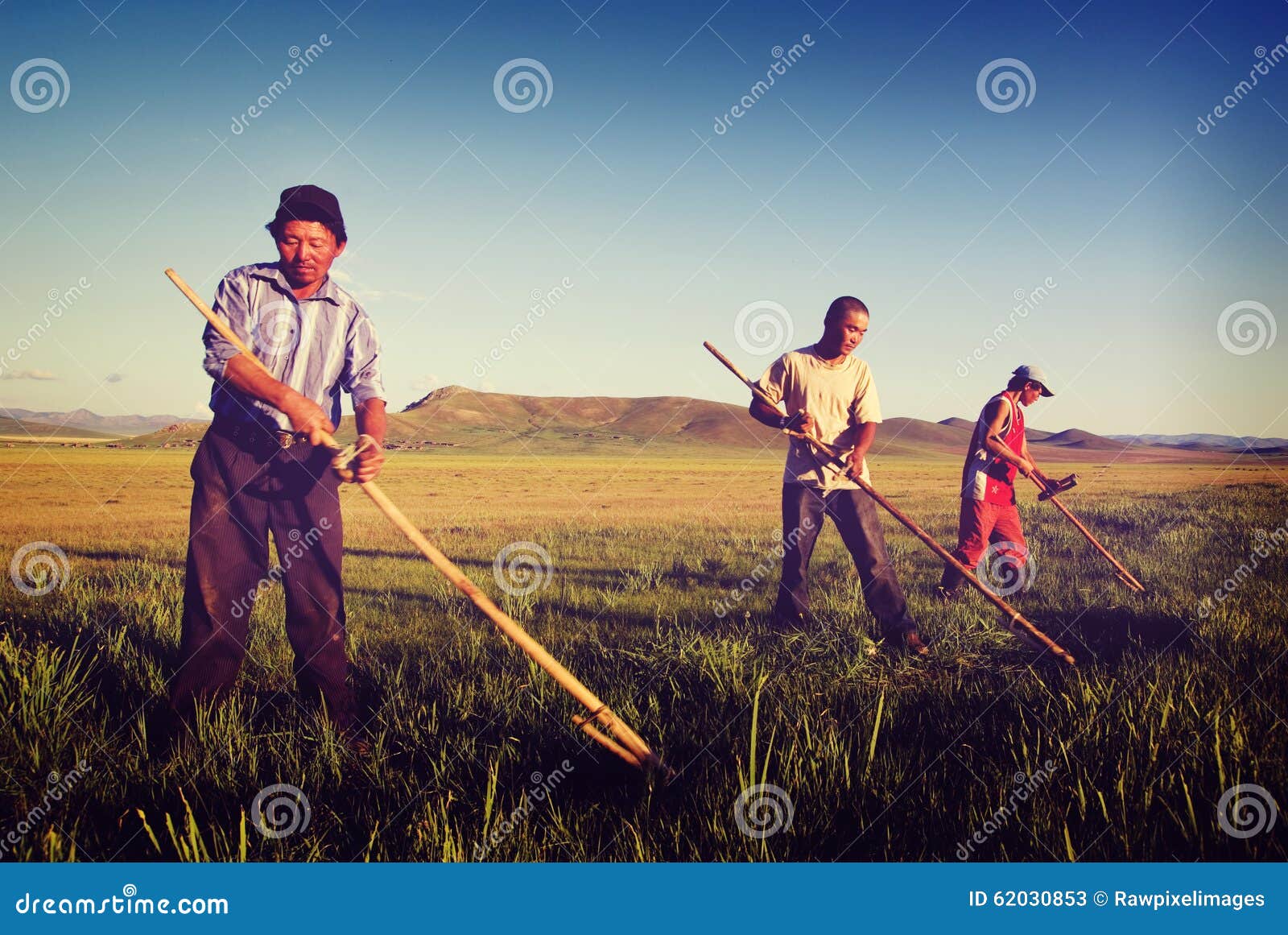 Mongolian Farmers Working Hard Agricultural Crop Concept Editorial ... Mongolian Farmers Working Hard Agricultural Crop Concept Editorial ...
