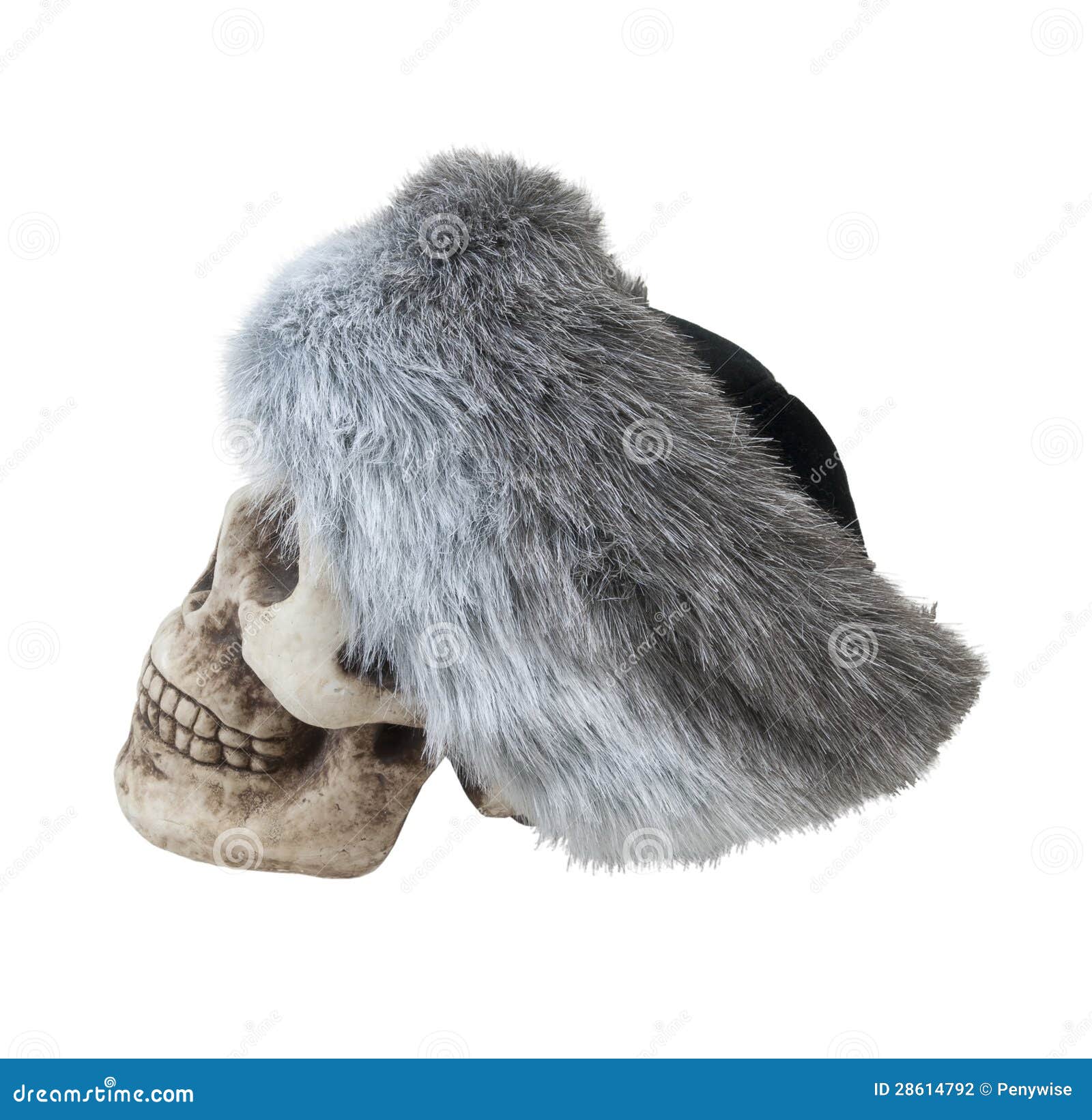 Mongolian Fur Cap on a Skull Stock Photo - Image of scary, macabre ...